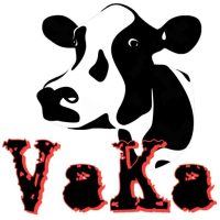 Festival VK Tribu Fest – VaKa